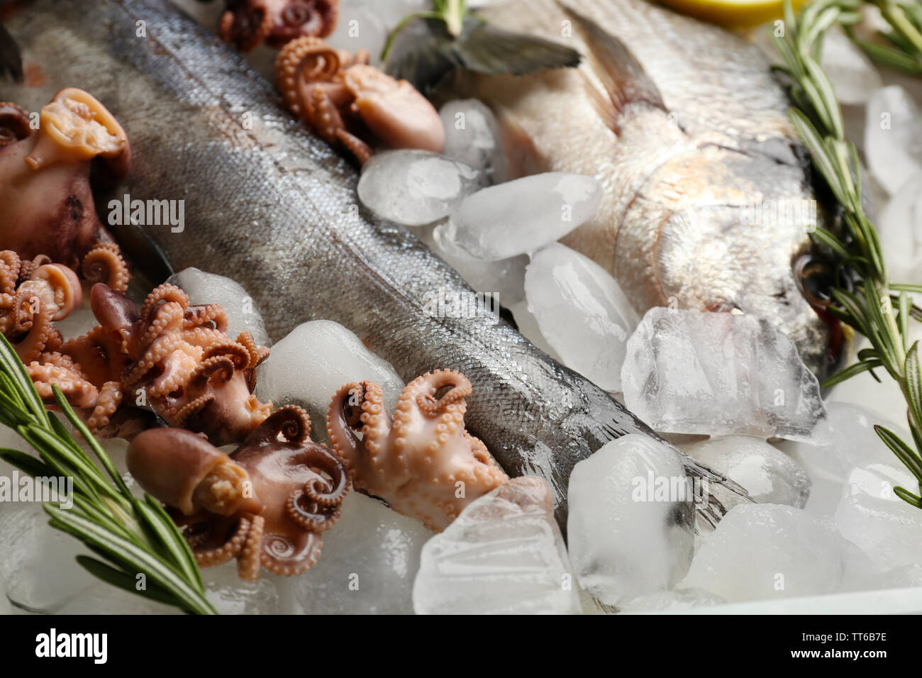 Fresh fish and other seafood on ice Stock Photo - Alamy