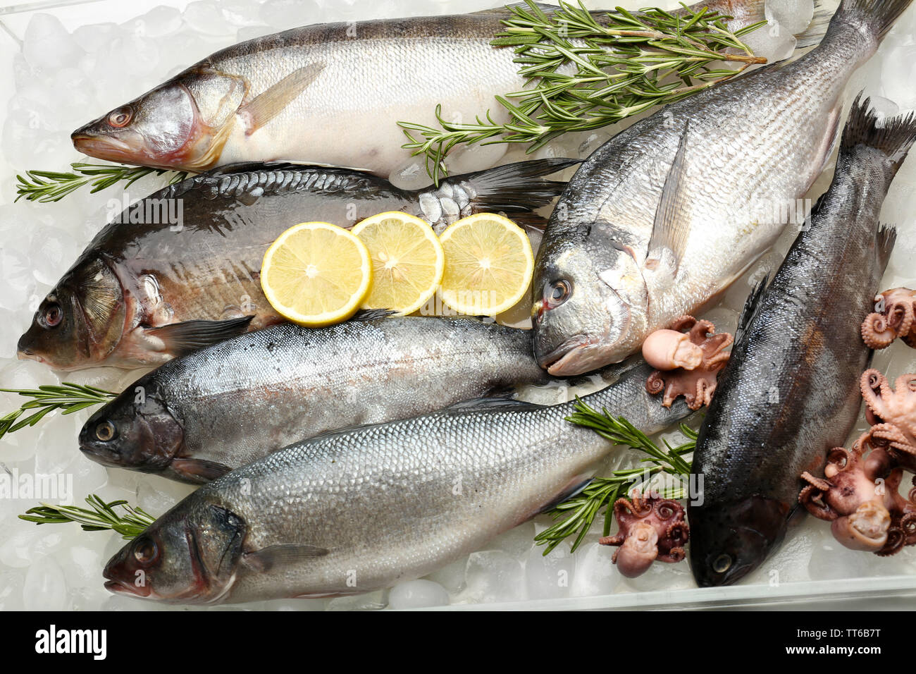 Fresh fish on ice Stock Photo - Alamy