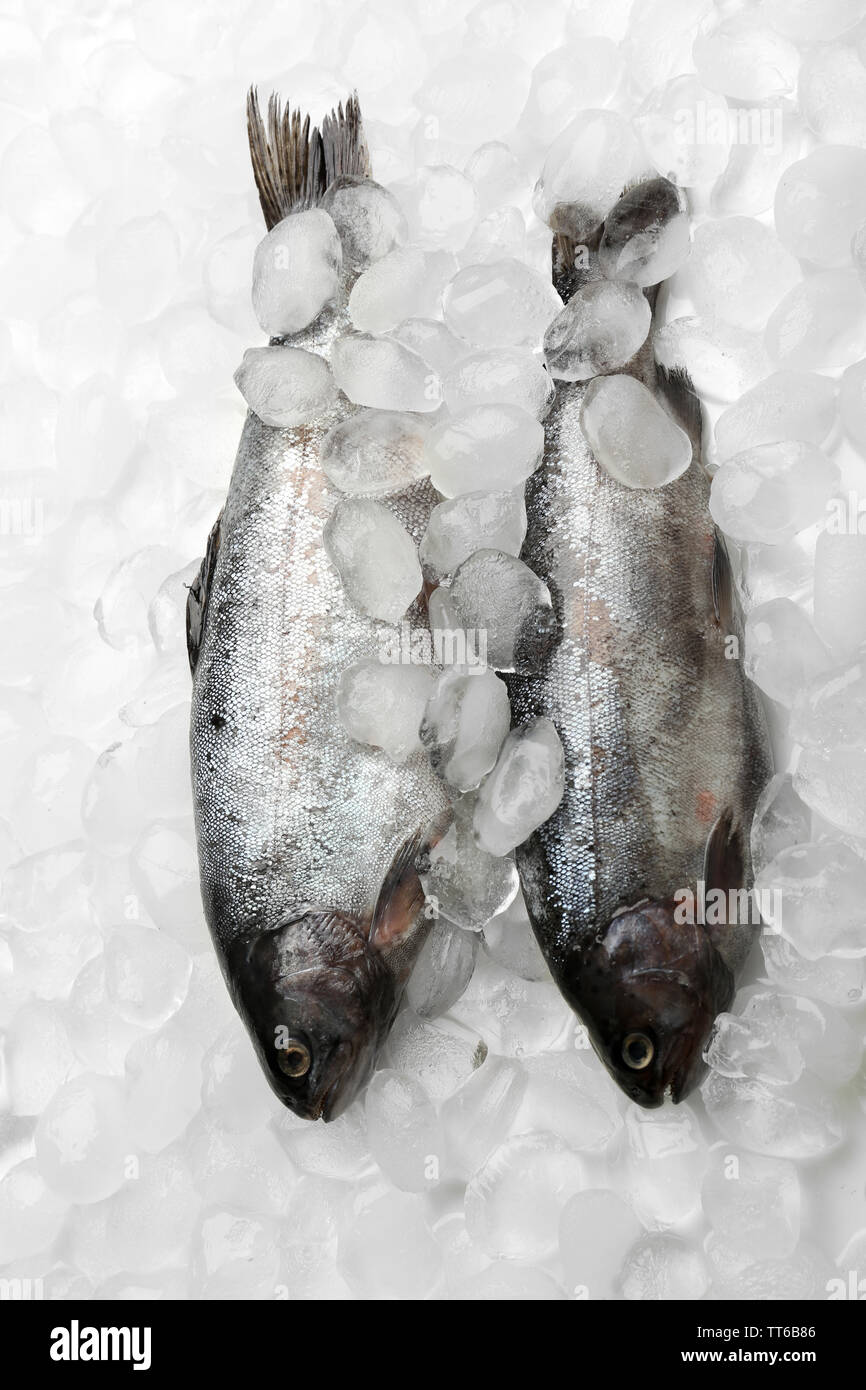 Fresh fish on ice Stock Photo - Alamy