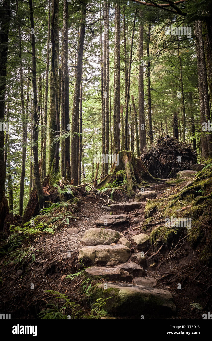 Ketchikan university hi-res stock photography and images - Alamy