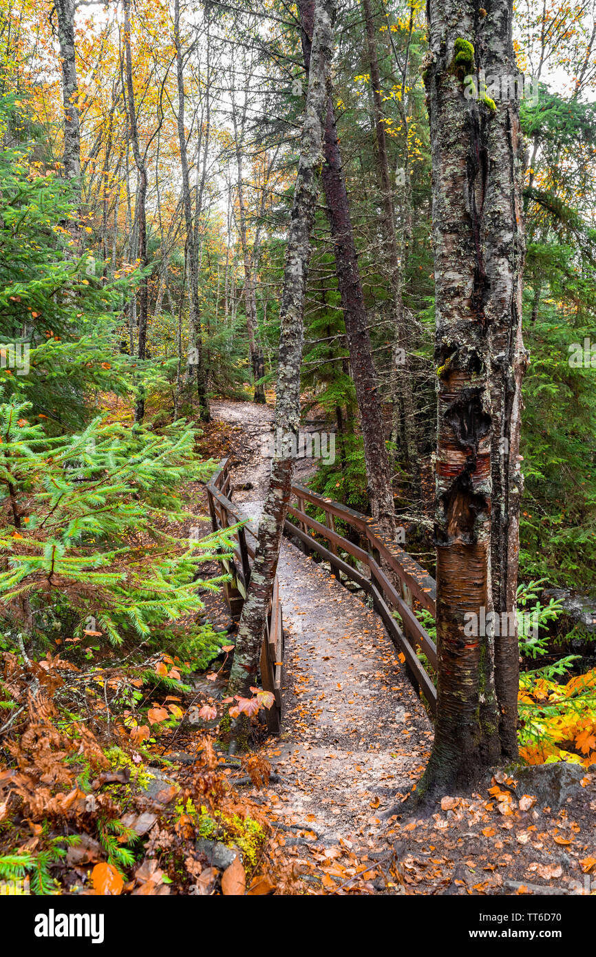 Alaska nature landscape. Scenic path foot bridge through mountain hike ...