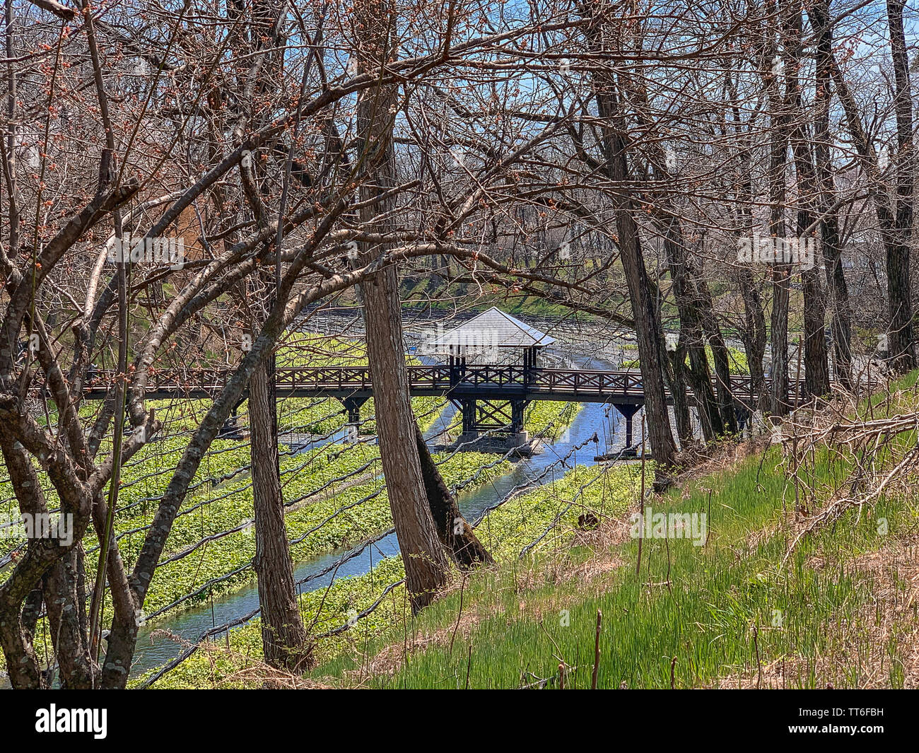Pedestrian bridge over Wasabi horseradish fields at the Daio Wasabi ...