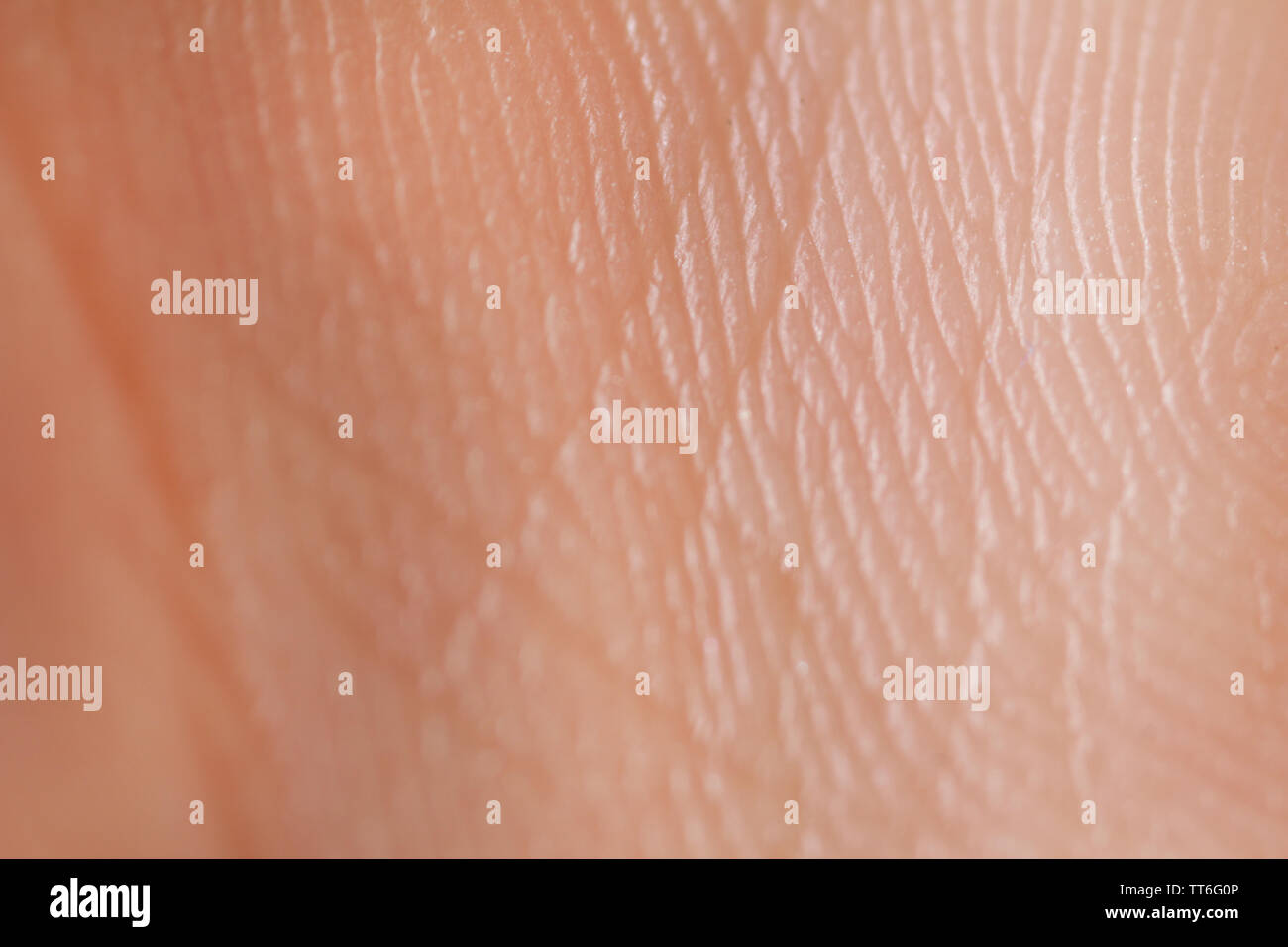 Human skin close up Stock Photo - Alamy