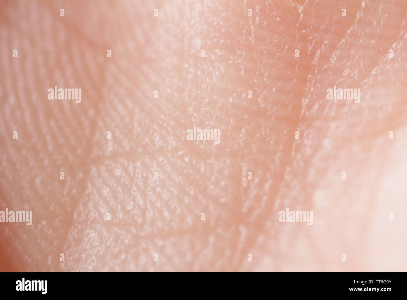 Human skin close up hi-res stock photography and images - Alamy