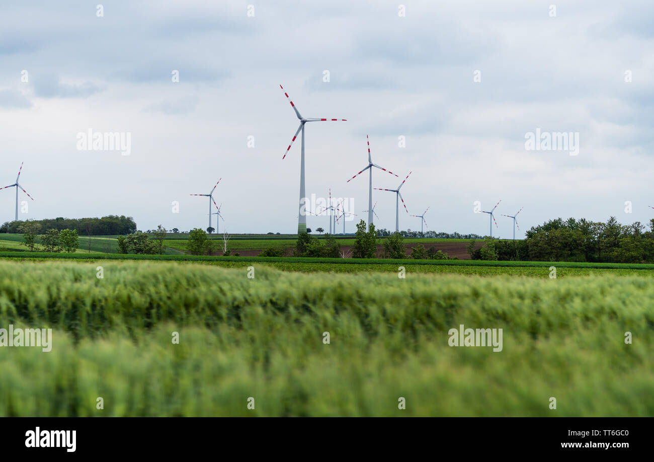 Sustainable eco hi-res stock photography and images - Alamy