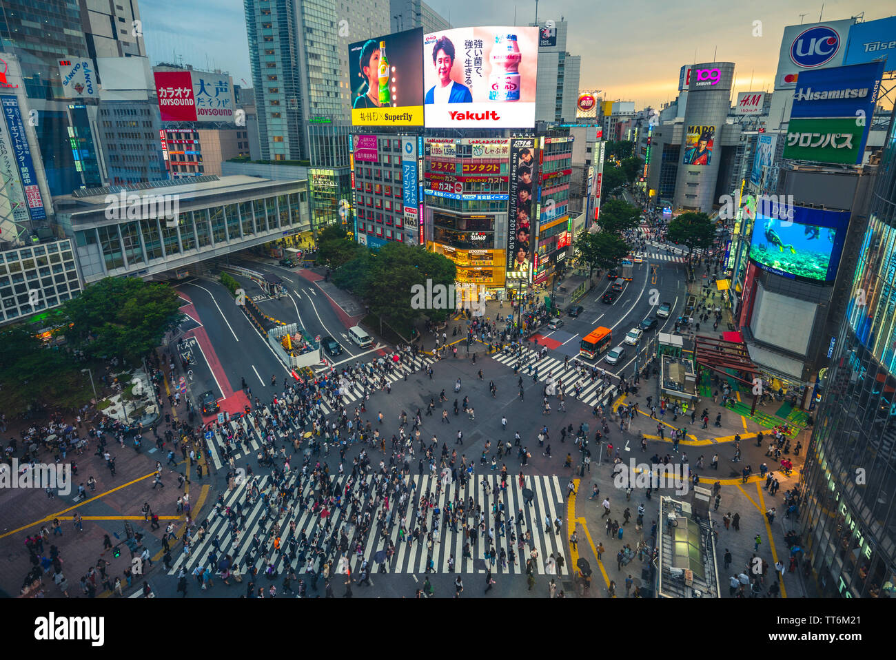 Tokyo, Japan - June 12, 2019: Shibuya Crossing, a world famous and iconic intersection in ...