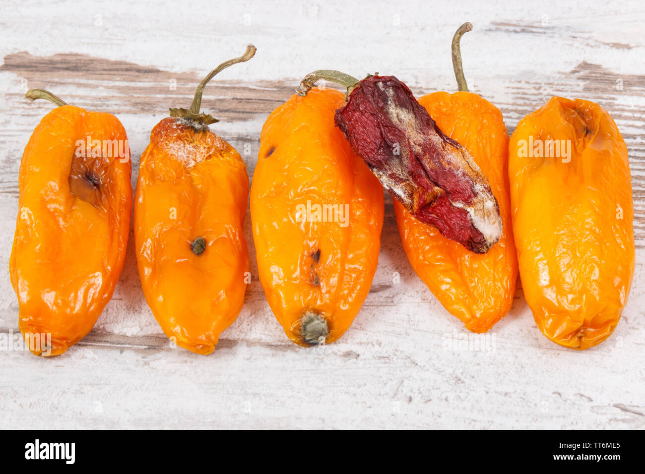 Old wrinkled peppers with mold on old rustic background. Concept of ...