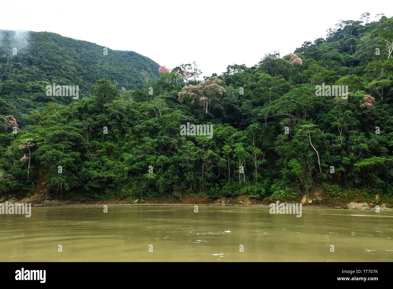 Madidi national park aerial hi-res stock photography and images - Alamy