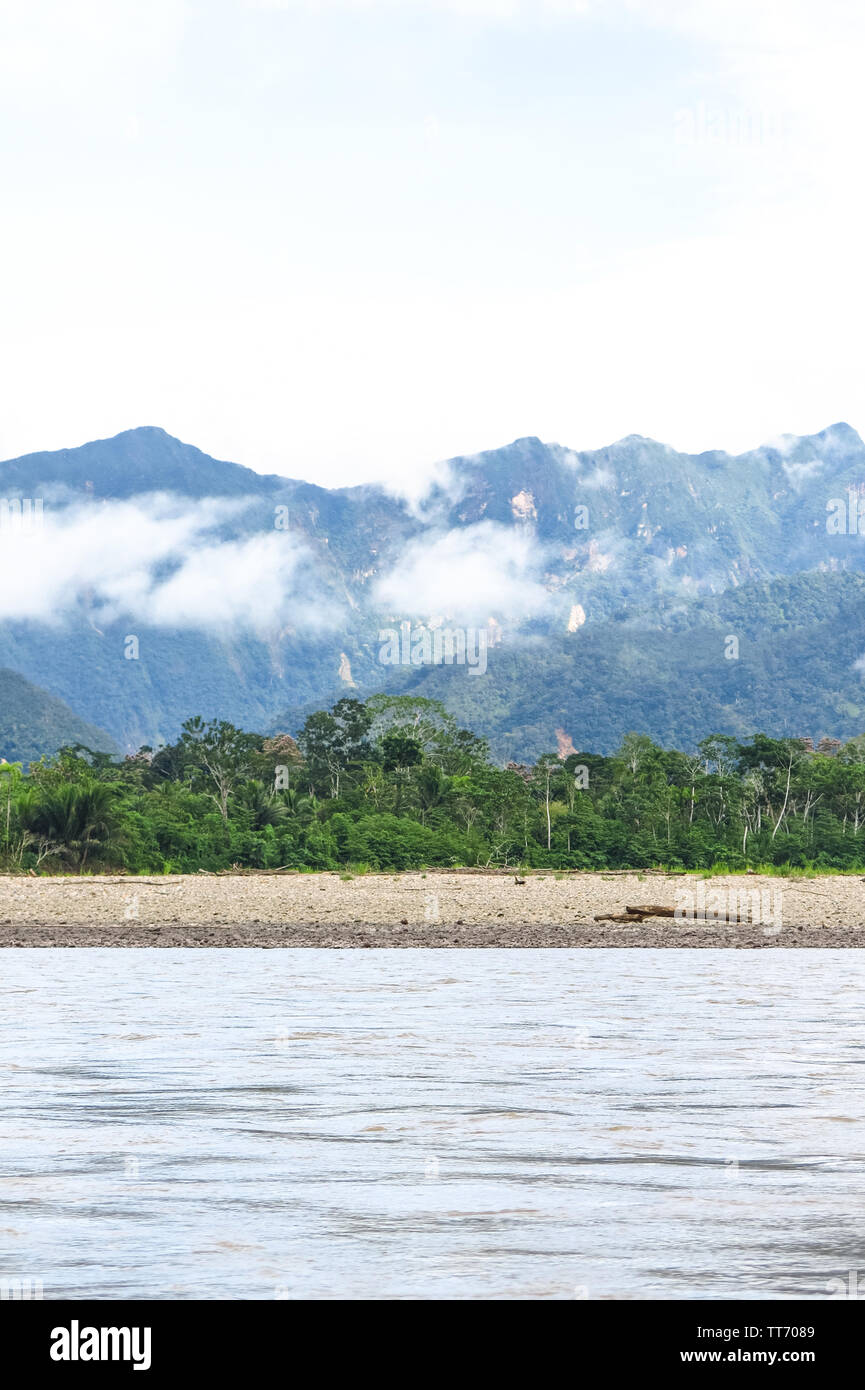Image of the Beni river, with tropical rain forest in the background ...