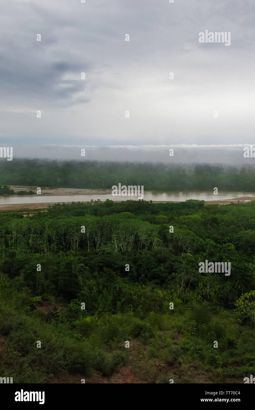 Image of the Beni river, with tropical rain forest in the background ...
