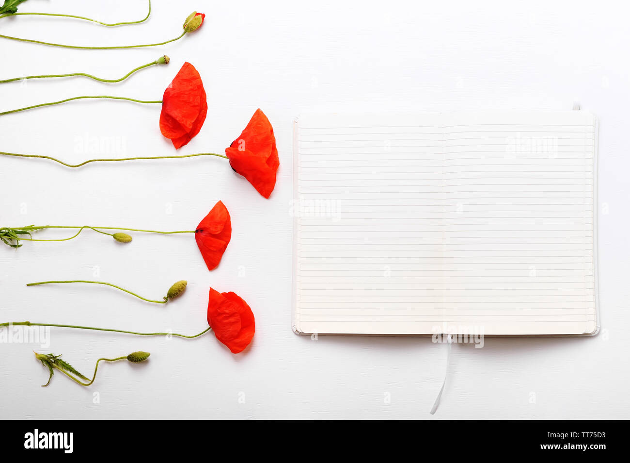 Red poppy flower and white blank notebook on a white .Background for ...