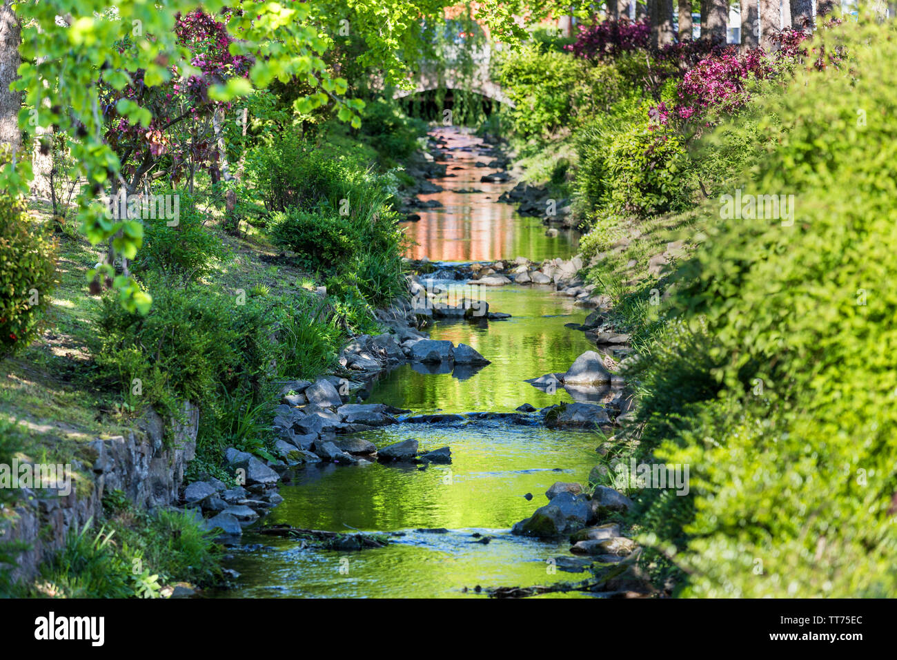 colorful park river background Stock Photo - Alamy