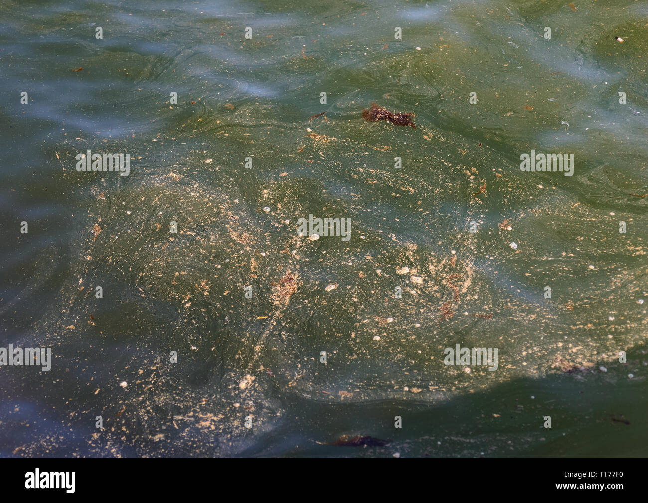 Disgusting plastic pollution hi-res stock photography and images - Alamy