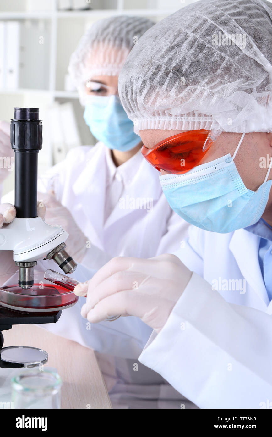 Scientists using microscope in laboratory hi-res stock photography and ...