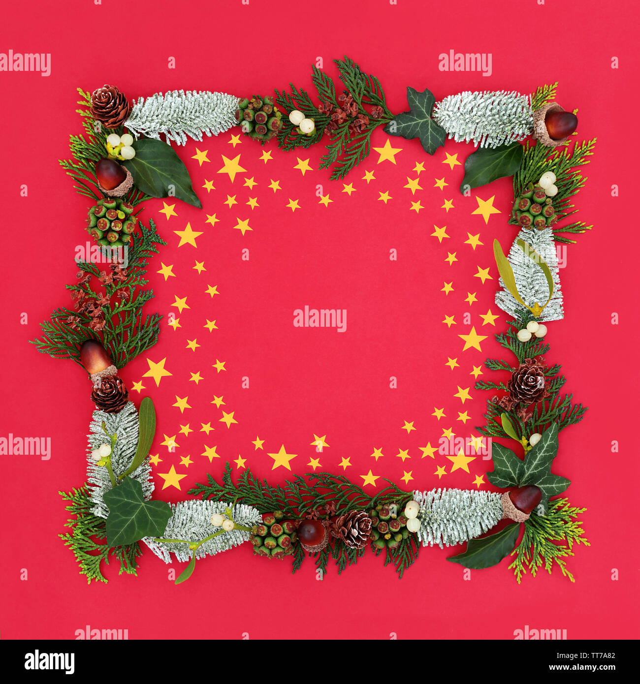 Christmas border with gold star decorations, snow covered spruce fir ...