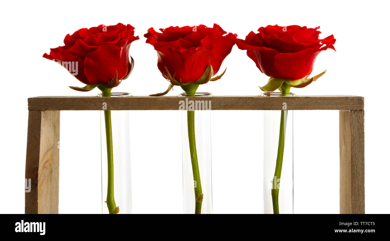 Three fresh roses in glass vases and wooden stand isolated on white ...