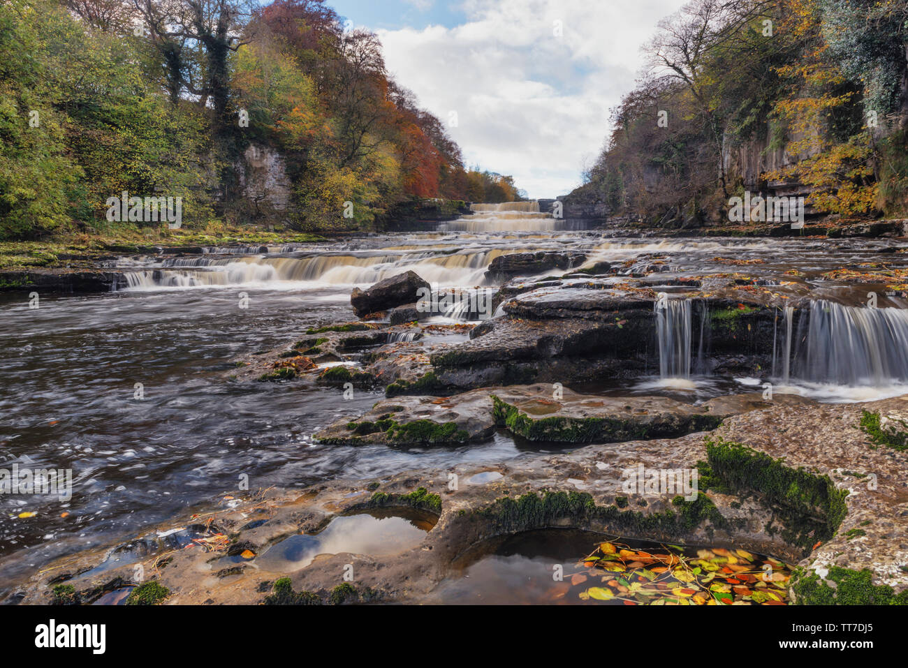 Lower Aysgarth Falls in the Yorkshire Dales in Autumn. The lower of a ...
