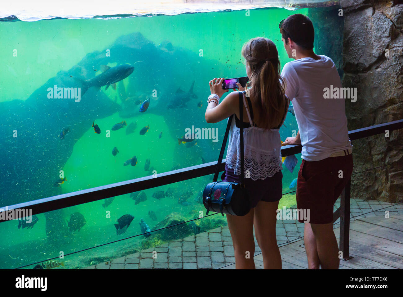 Bioparc zoológico, Valencia, Comunidad Valenciana, Spain, Europe Stock ...
