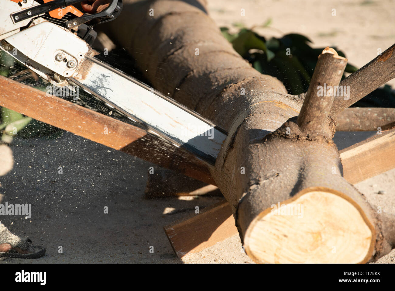 Worker cutting log with chainsaw Stock Photo - Alamy