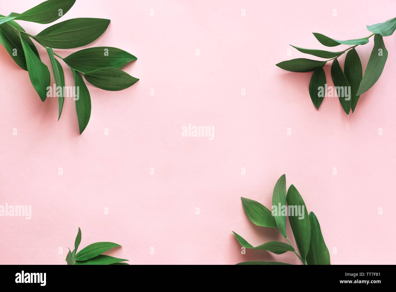 Creative layout of green leaves, exotic wild plants on pink, top view ...