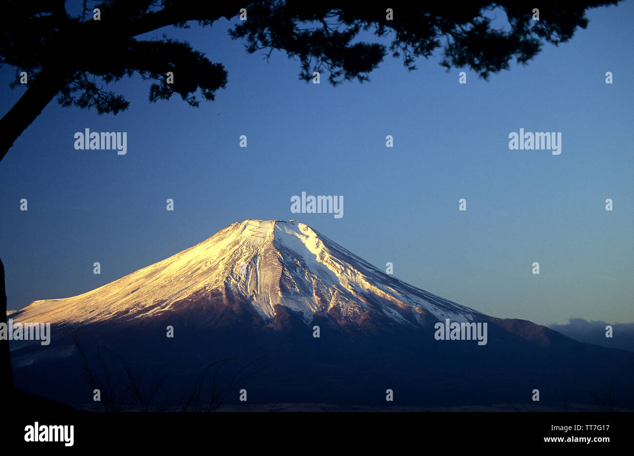 Amurian plate hi-res stock photography and images - Alamy