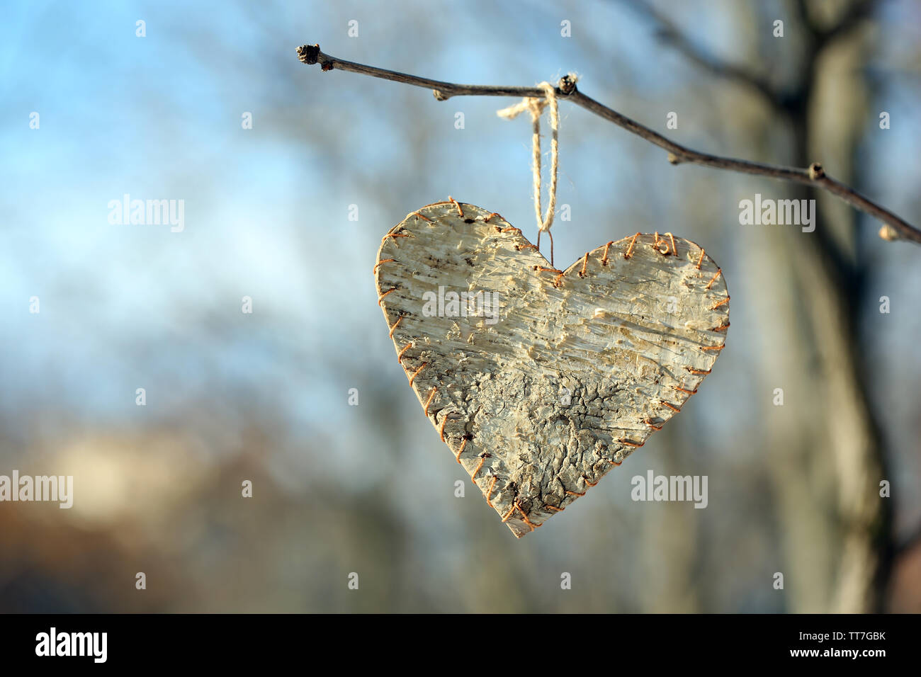 Tree branch with heart decoration on nature background Stock Photo - Alamy