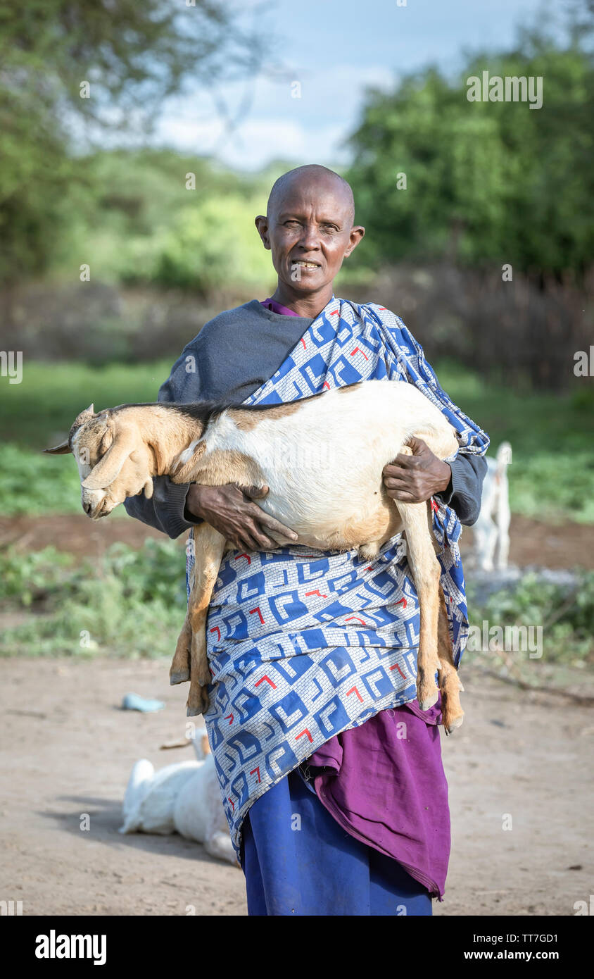 same, Tanzania, 4th June 2019: maasai woman with her goat Stock Photo ...