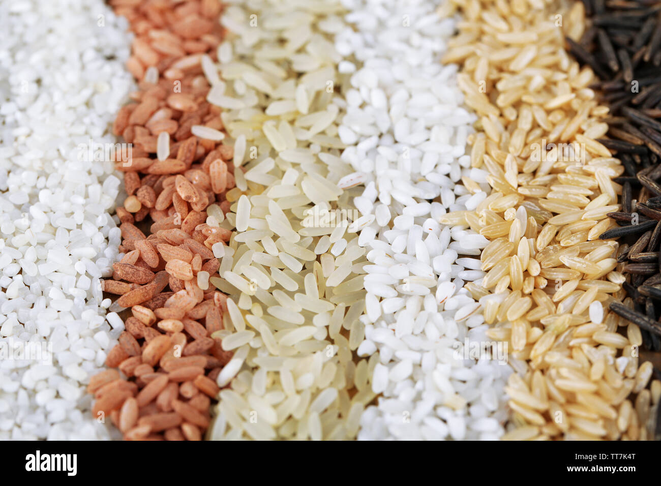 Different types of rice close up Stock Photo - Alamy