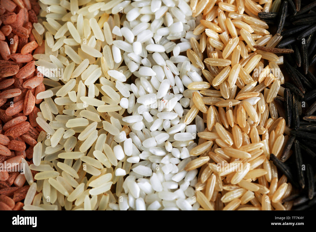 Different types of rice close up Stock Photo - Alamy
