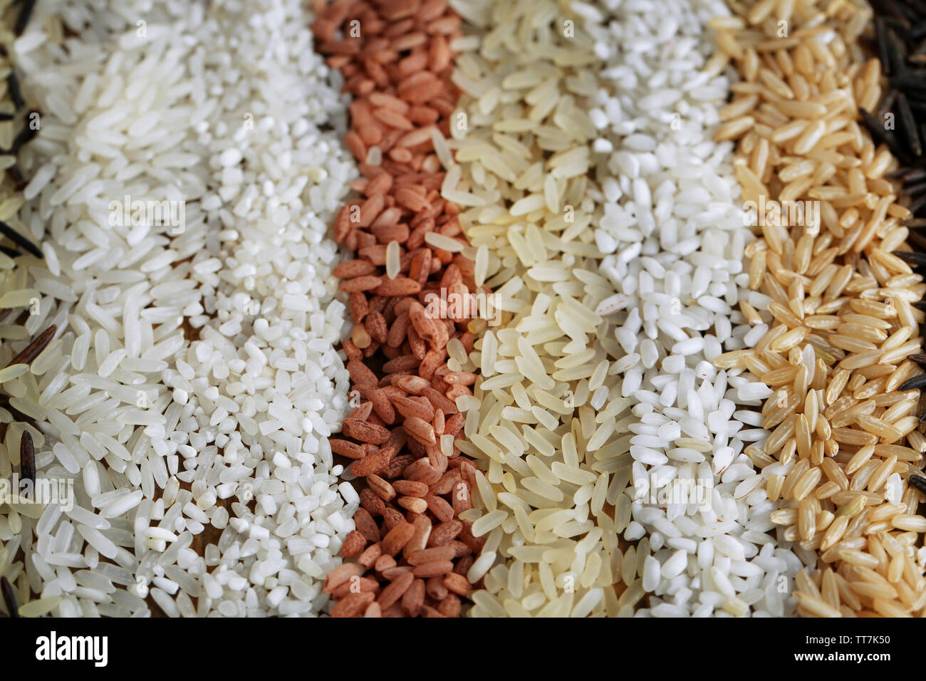 Different types of rice close up Stock Photo - Alamy