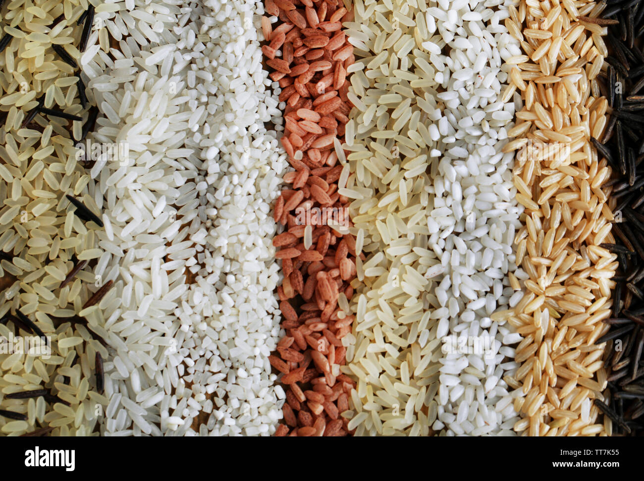 Different types of rice close up Stock Photo - Alamy