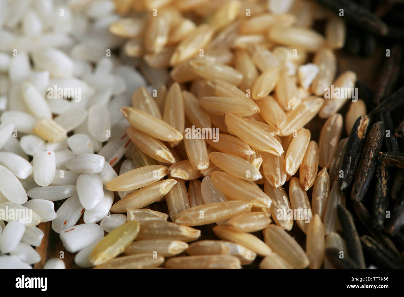 Different types of rice close up Stock Photo - Alamy