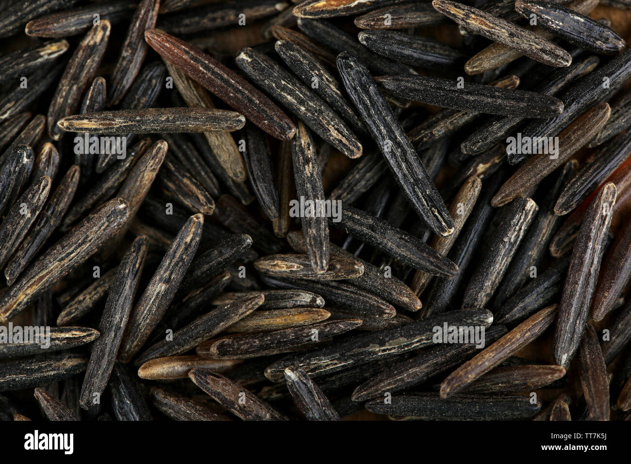 Rice grains close up hi-res stock photography and images - Alamy