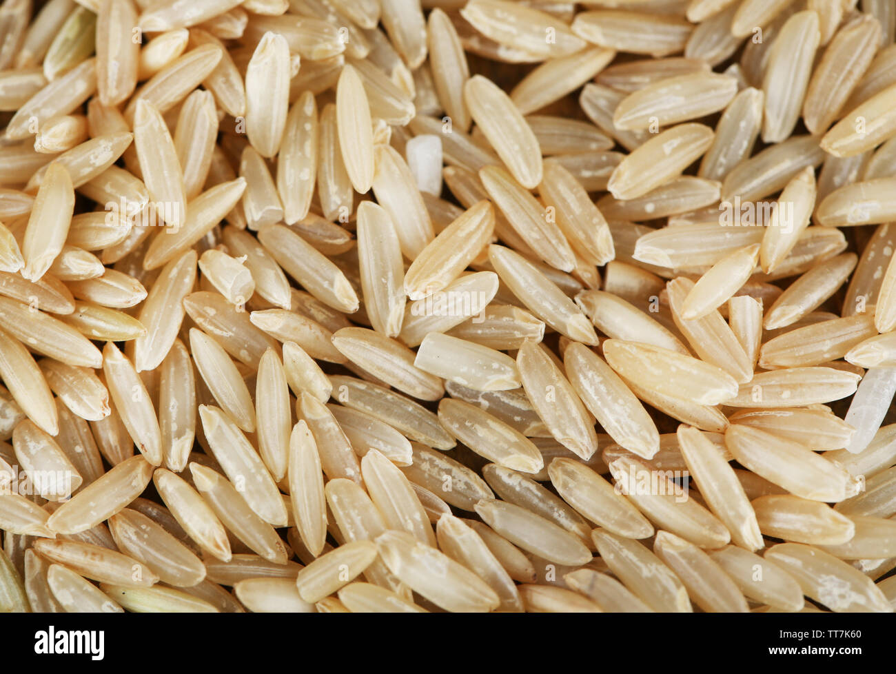 Rice grains close up Stock Photo - Alamy