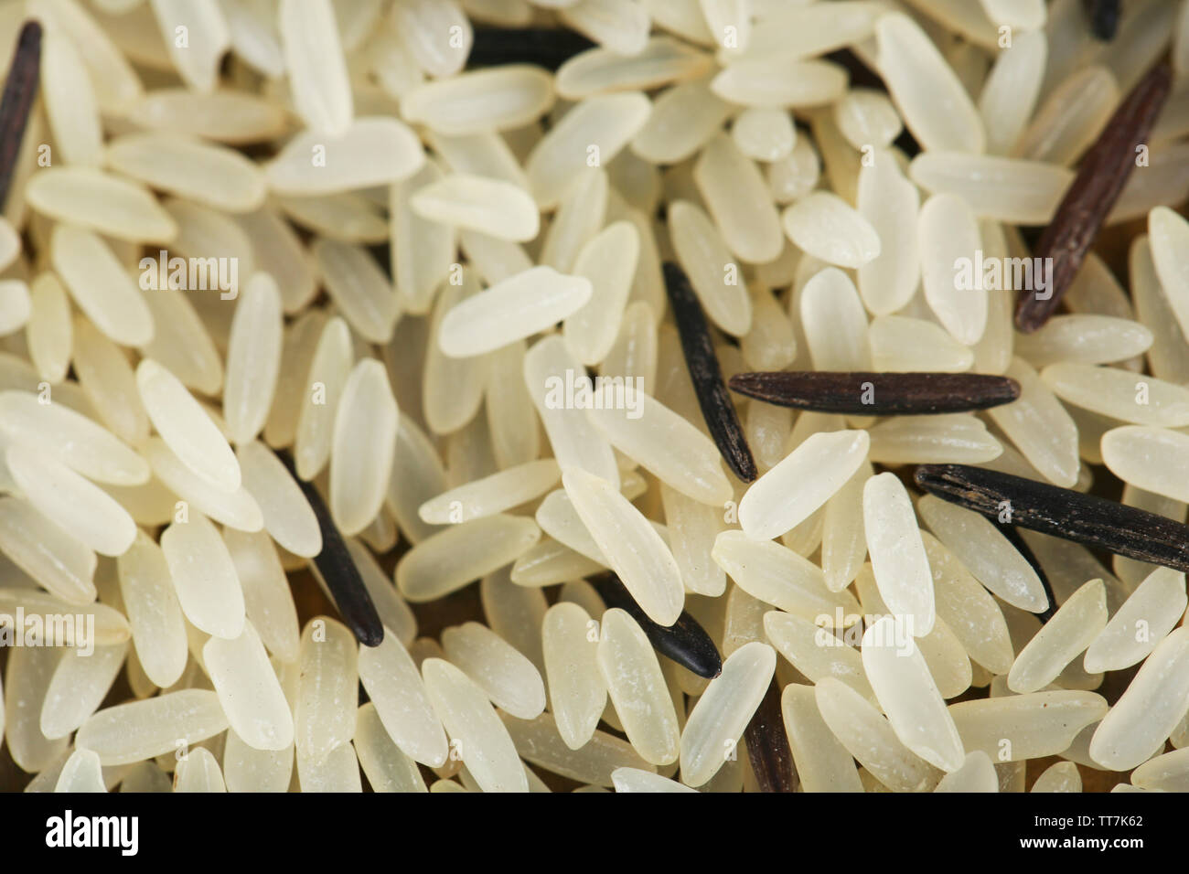 Rice grains close up hi-res stock photography and images - Alamy