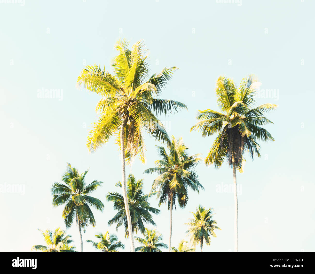 Coco colored hi-res stock photography and images - Alamy