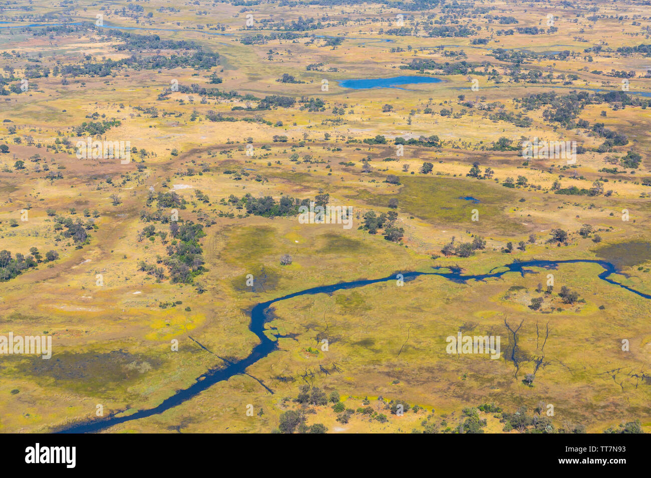 Okavango Delta, Botswana, Africa Stock Photo - Alamy