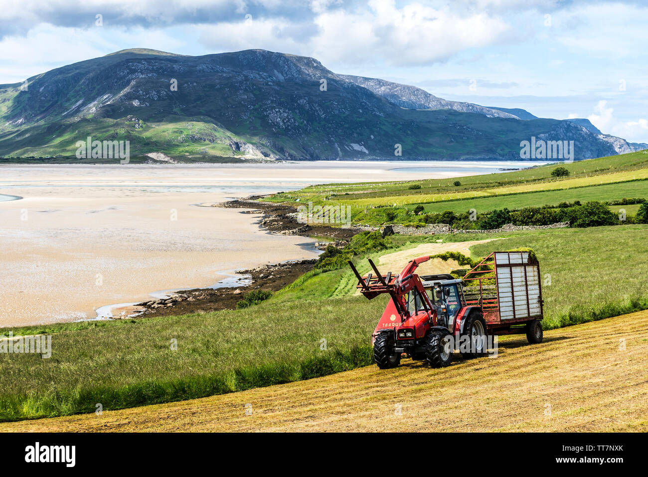 Richard cutting hi-res stock photography and images - Alamy