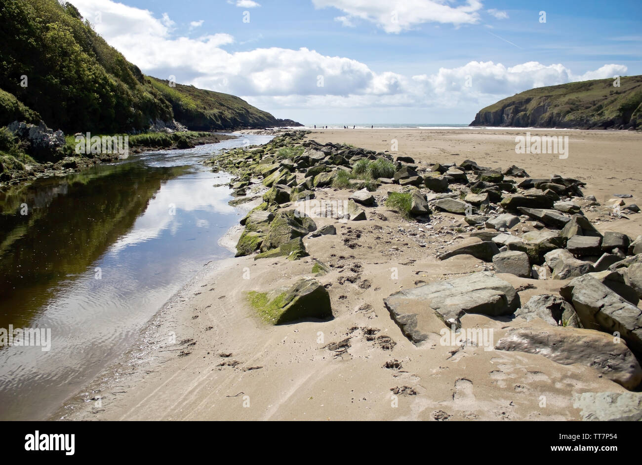 Long sandy beach in Stradbally Cove,County Waterford,Ireland Stock ...
