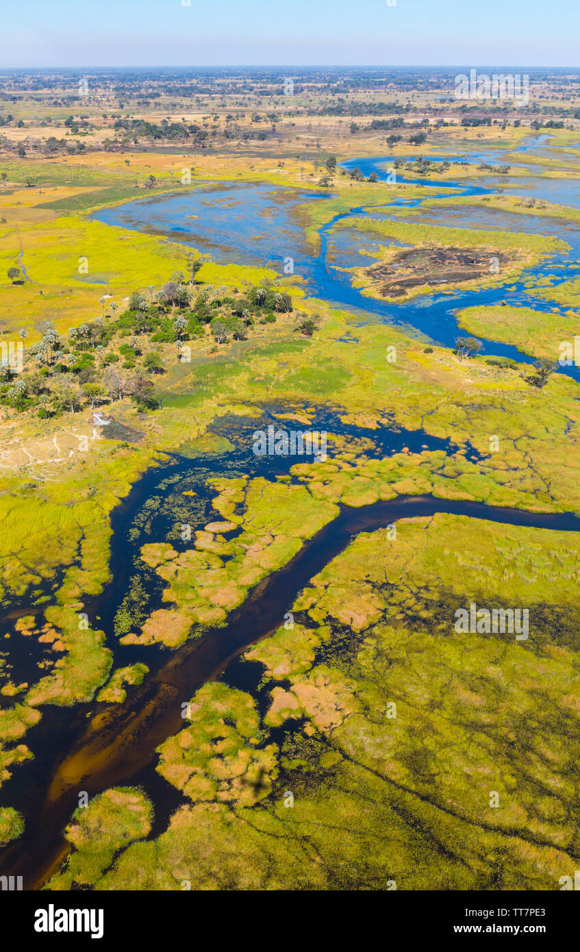Okavango Delta, Botswana, Africa Stock Photo - Alamy