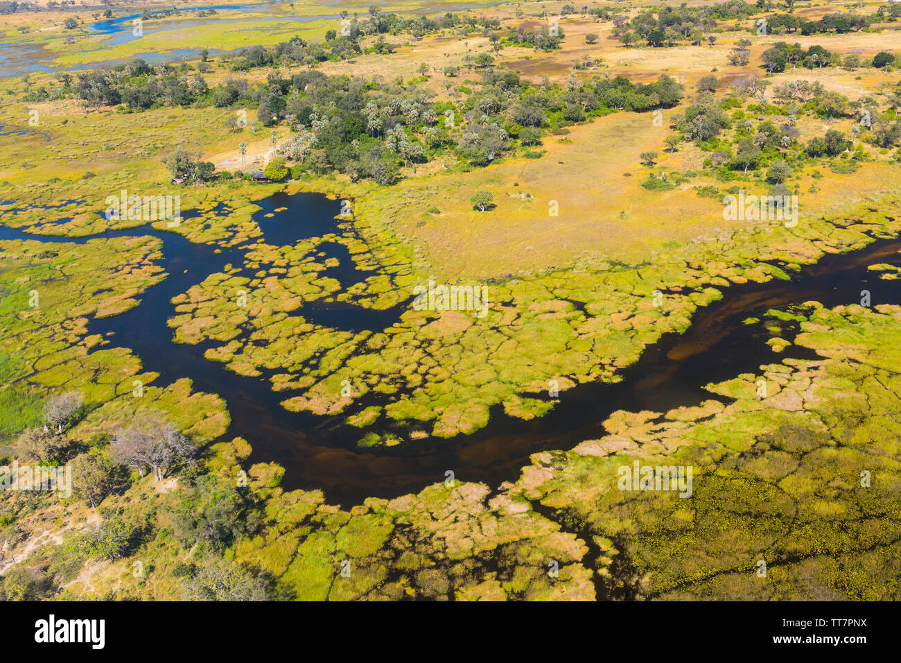 Okavango Delta, Botswana, Africa Stock Photo - Alamy