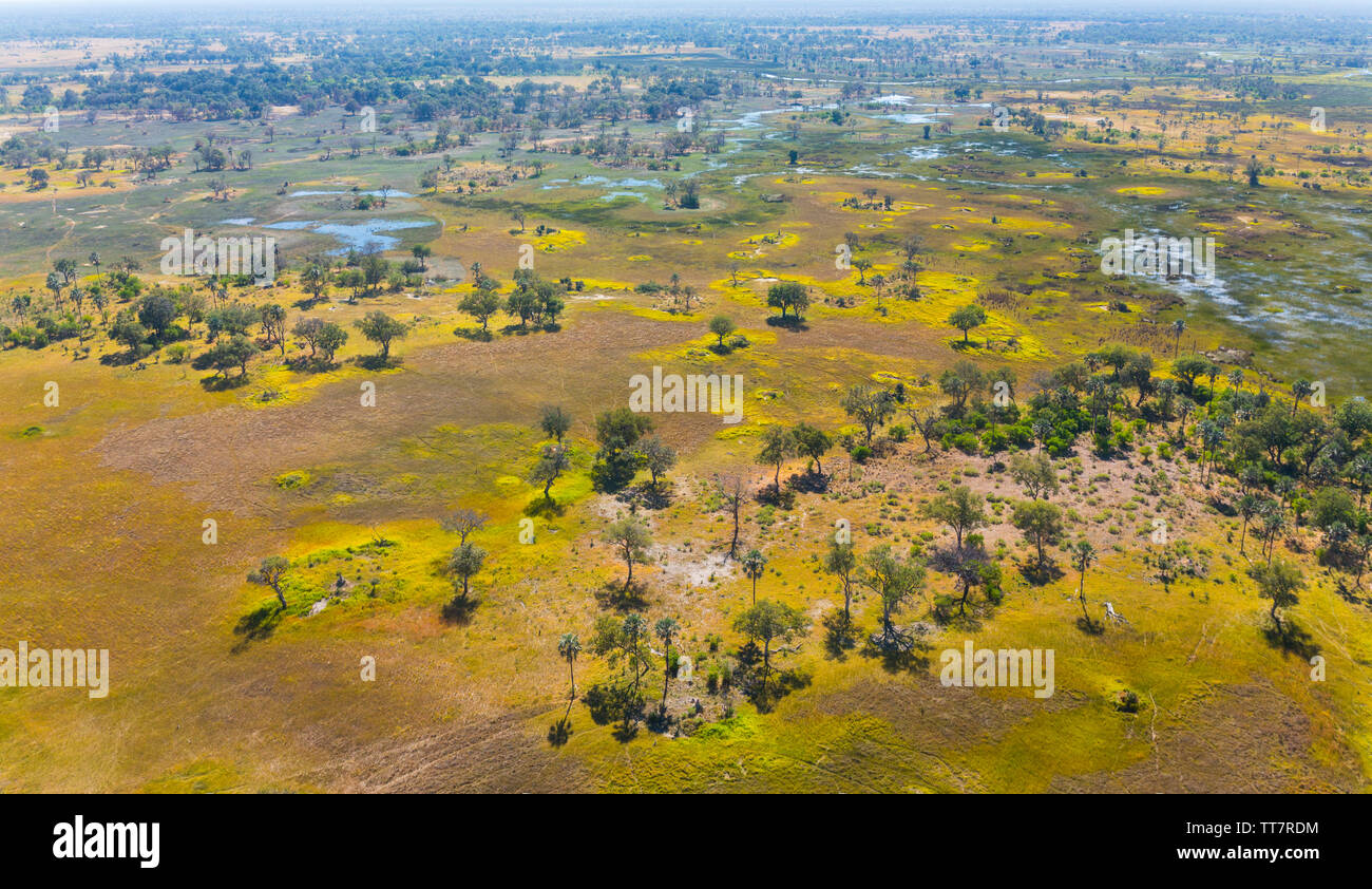 Okavango Delta, Botswana, Africa Stock Photo - Alamy