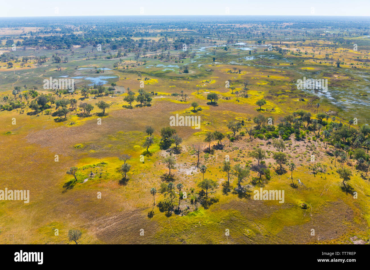 Okavango Delta, Botswana, Africa Stock Photo - Alamy
