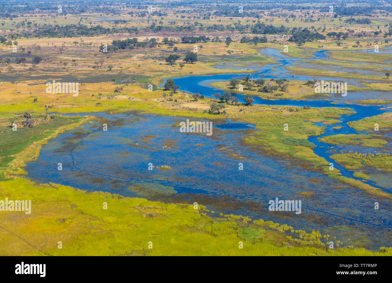 Okavango Delta, Botswana, Africa Stock Photo - Alamy