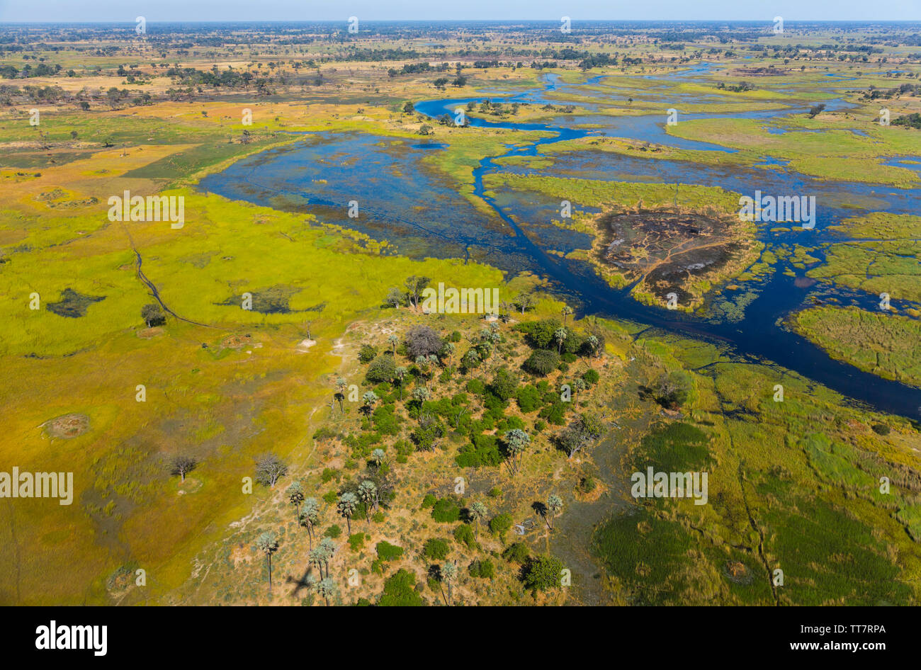 Okavango Delta, Botswana, Africa Stock Photo - Alamy