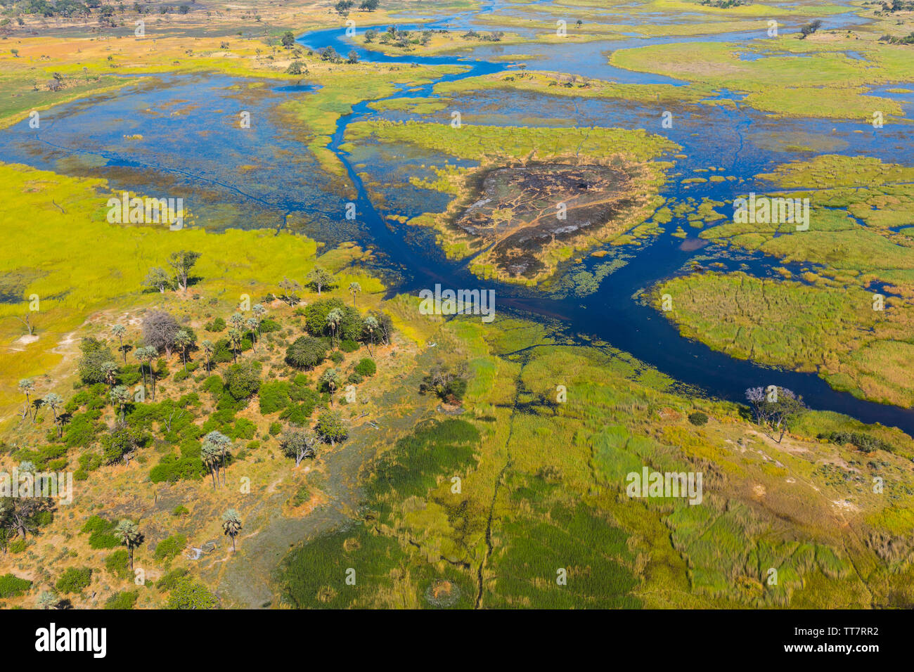 Okavango Delta, Botswana, Africa Stock Photo - Alamy