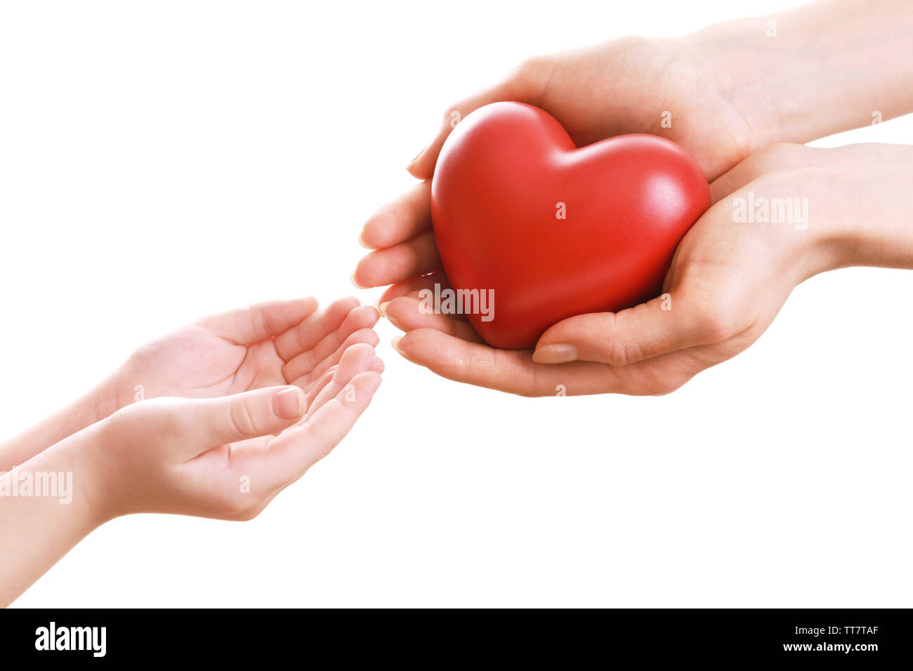 Heart in hands isolated on white Stock Photo - Alamy