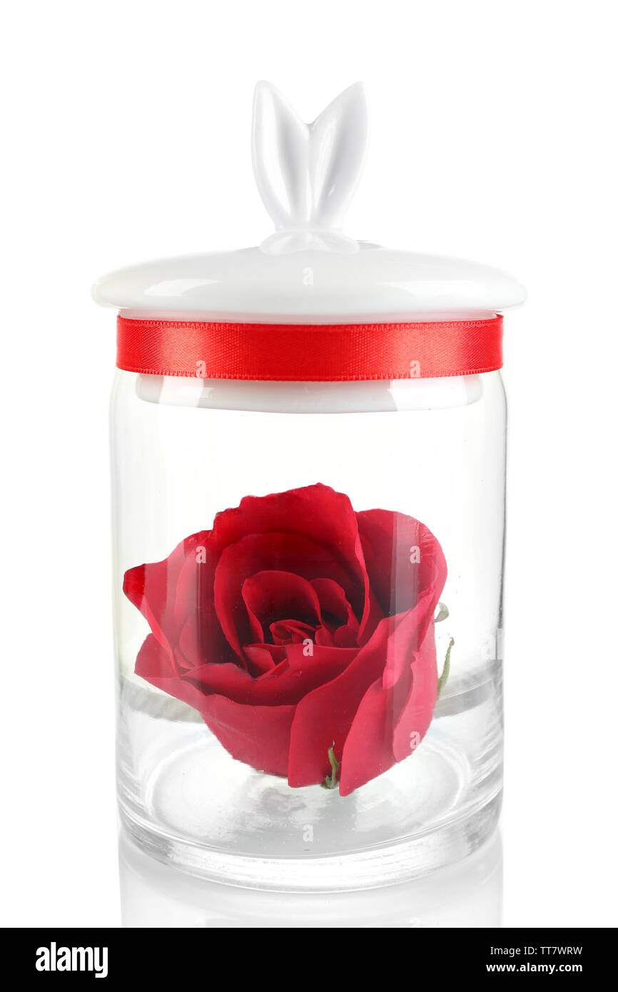 Rose flower in glass jar isolated on white Stock Photo - Alamy