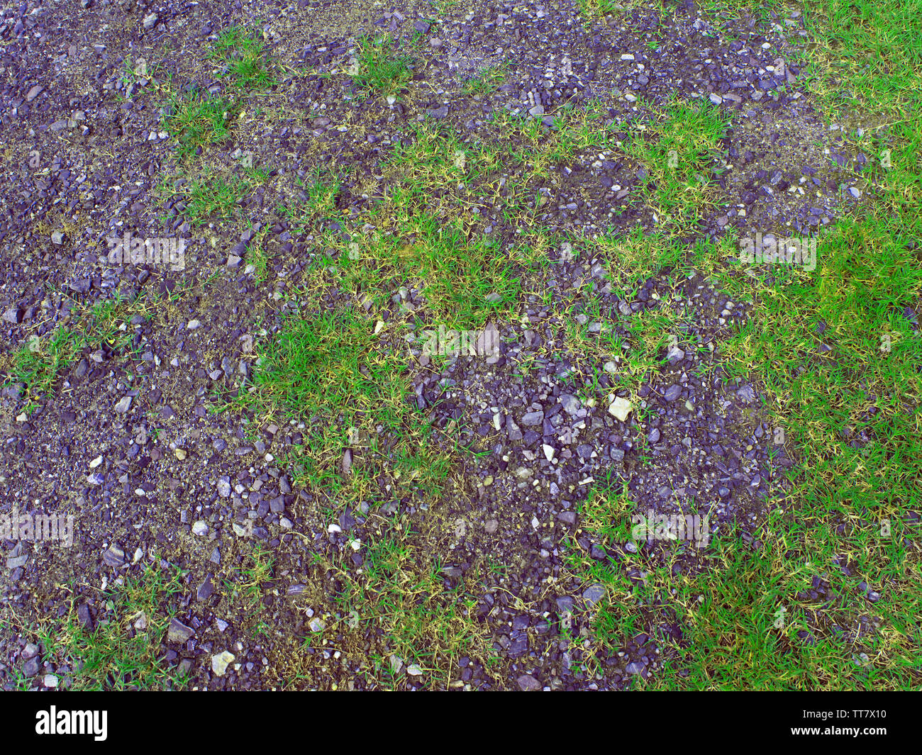 Texture of Crushed stone and grass Stock Photo - Alamy
