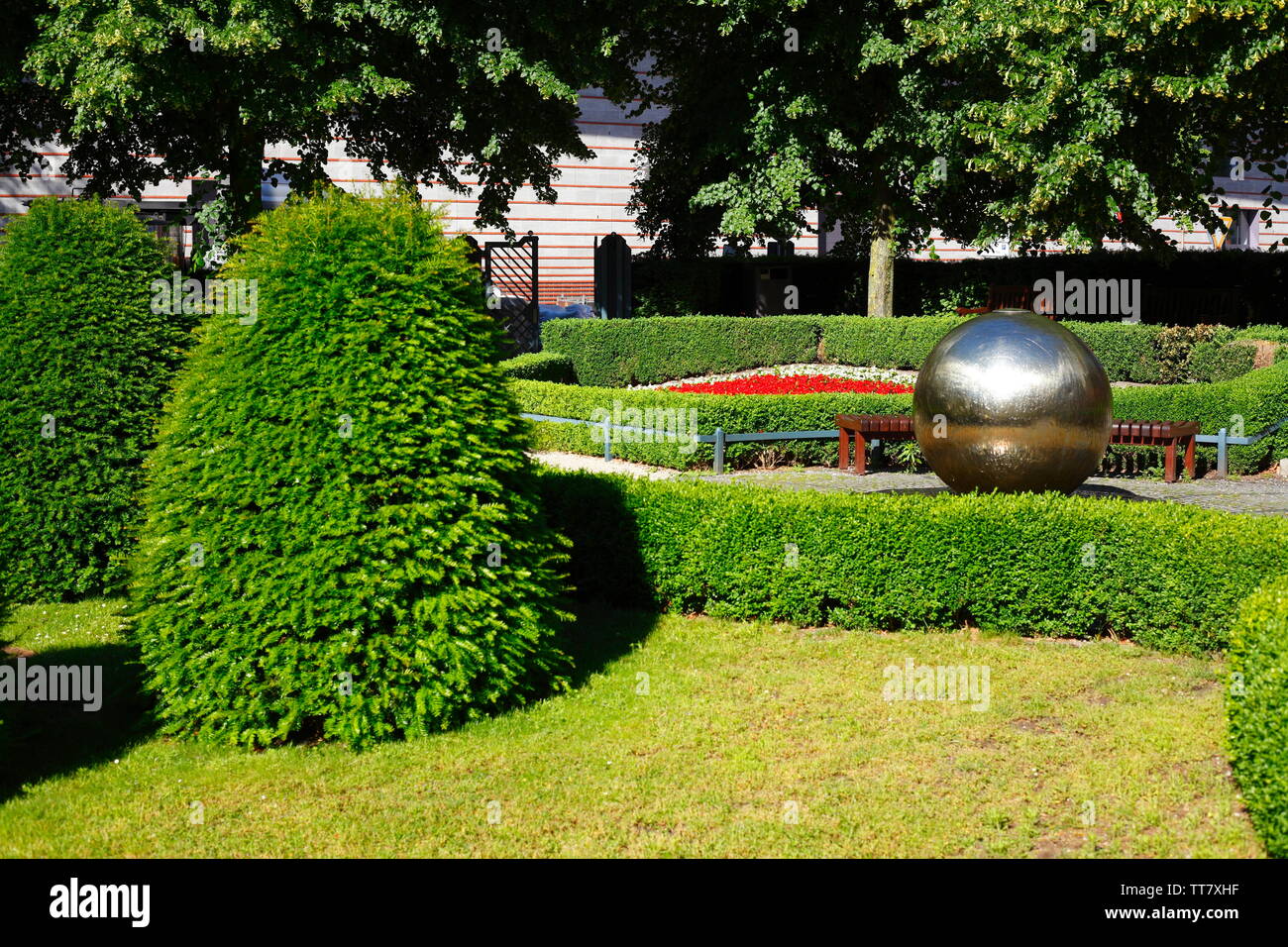 Common boxwood trees (Buxus sempervirens), garden plants Stock Photo ...